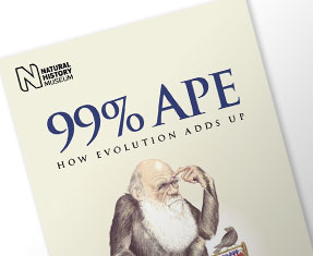 Buy books for kids and adults inspired by nature | Natural History ...