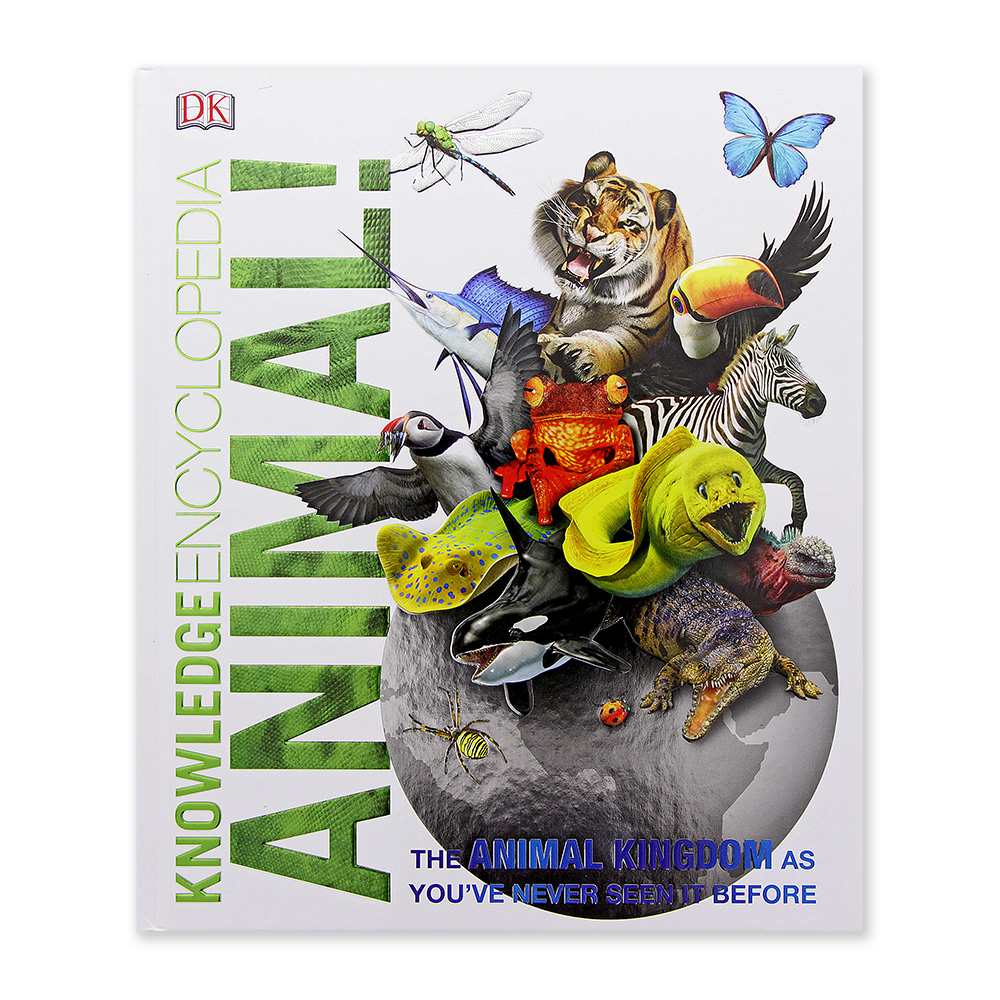 Taking flight at Leeds Castle | Discover Animals