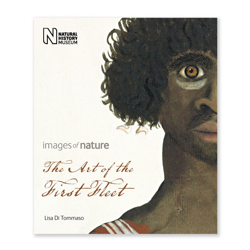 Nausicaa whale shark project a success | Discover Animals