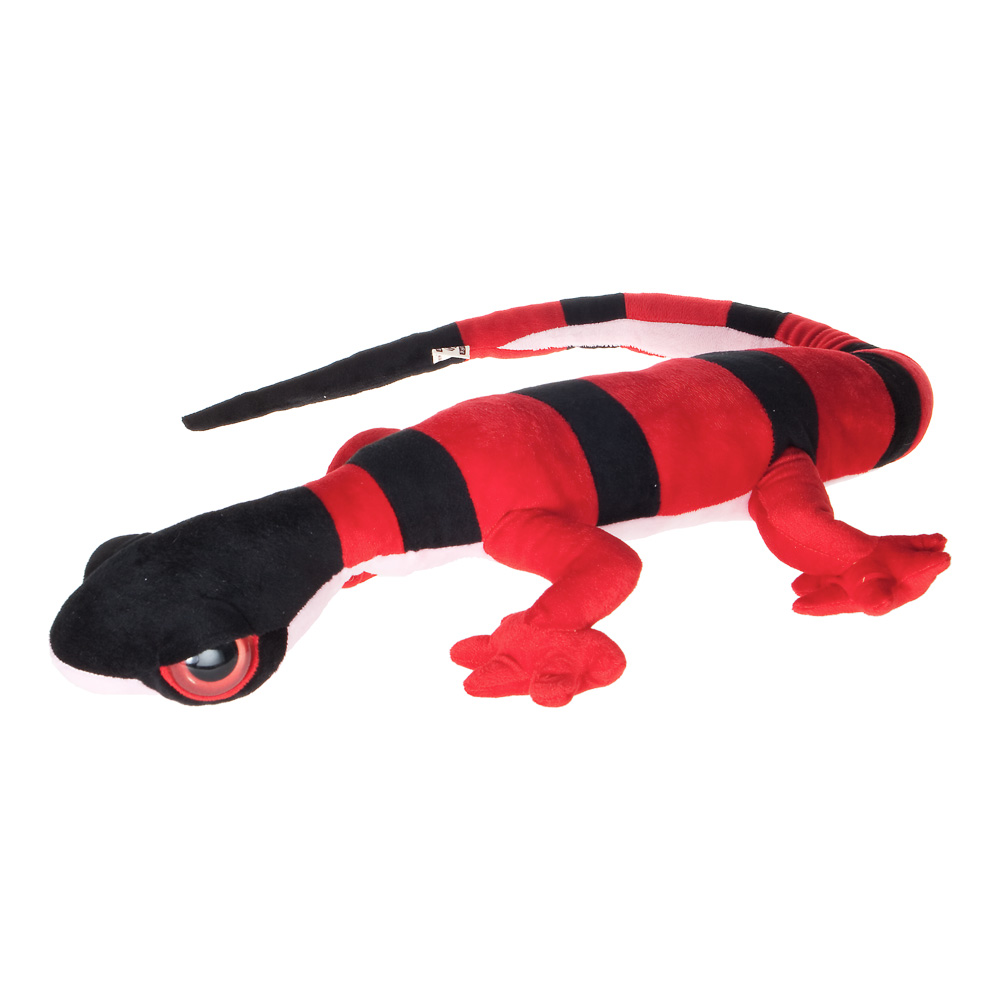 Log In | Discover Animals