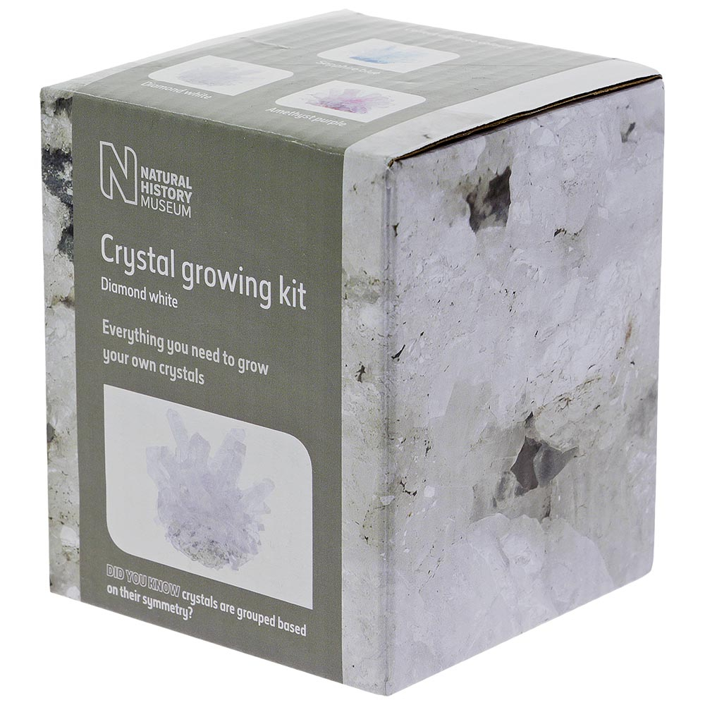 Barbary Lion | Discover Animals