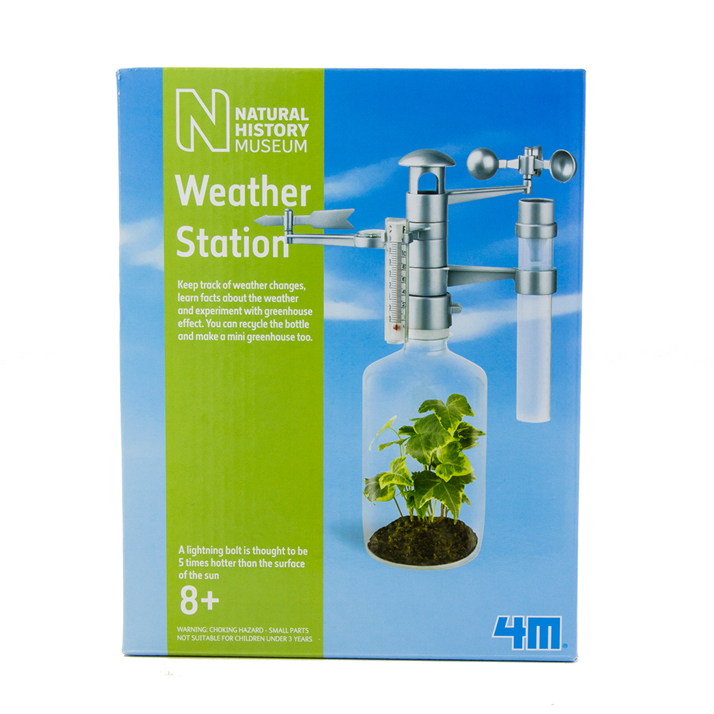 Cotton Top Tamarin | Discover Animals