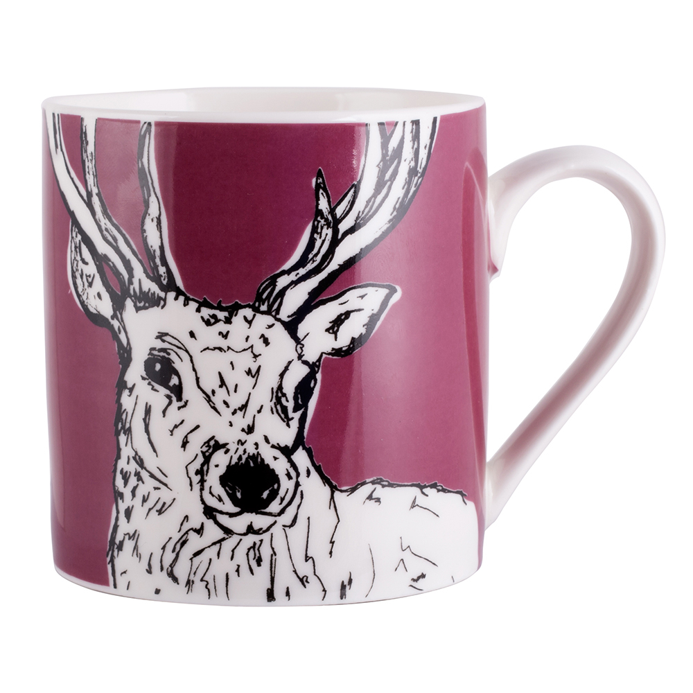 Monkey around at Capel Manor | Discover Animals