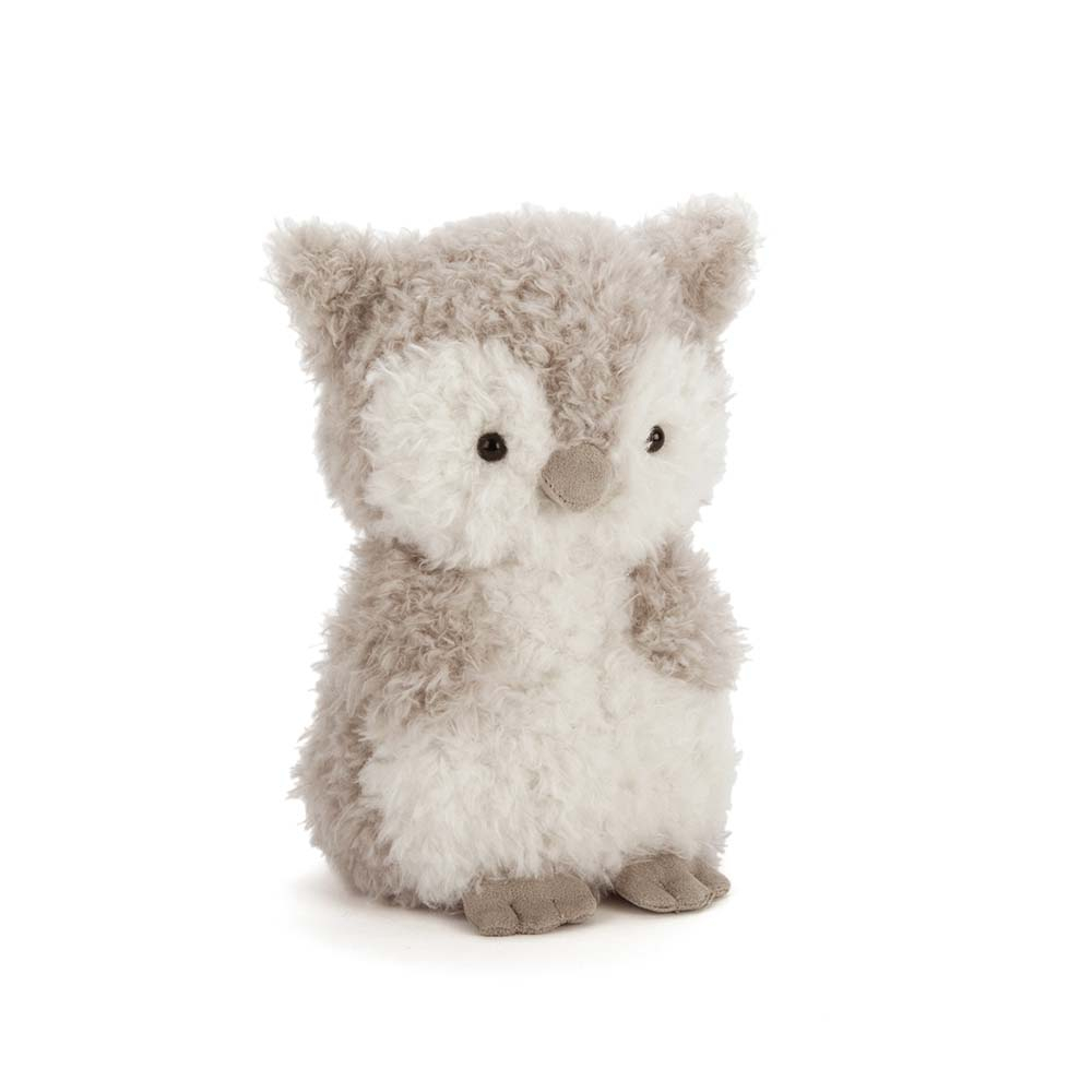 World of Owls | Discover Animals