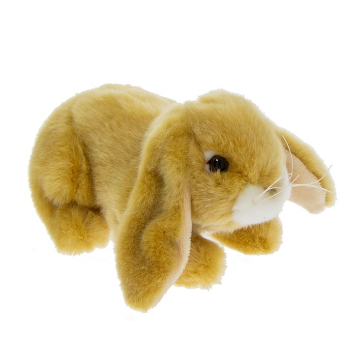 teddywidder bunny