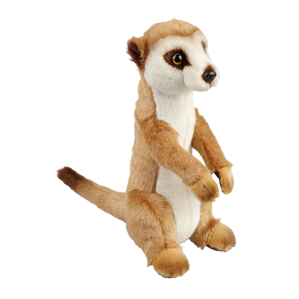 Meerkat | Discover Animals